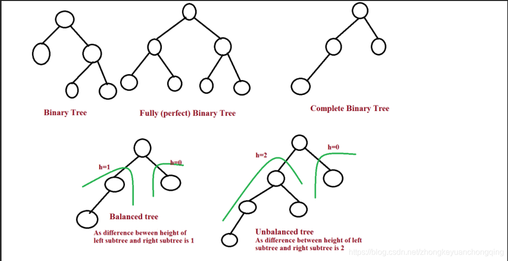 python判断 t1 树是否有与 t2 树拓扑结构完全相同的子树_biopython phylo 判断树拓扑结构一致性-CSDN博客