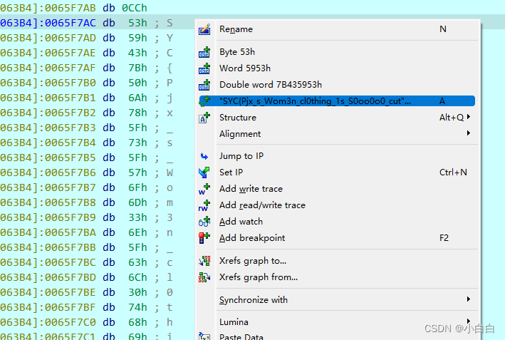 《算法还原 - CTF》逆向exe程序 + ida Pro 反汇编分析伪C代码 + python算法复现_ctf exe逆向-CSDN博客