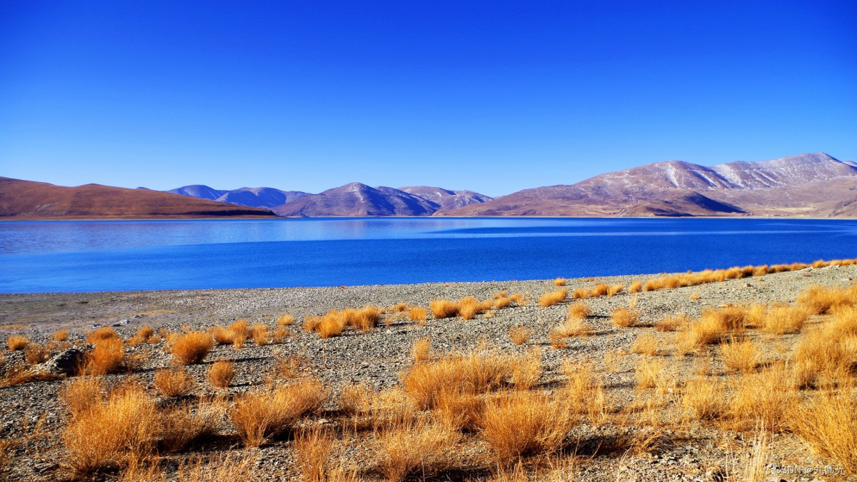 【IDEA】Idea 报错 Module was compiled with an incompatible version of Kotlin. The binary version of ...