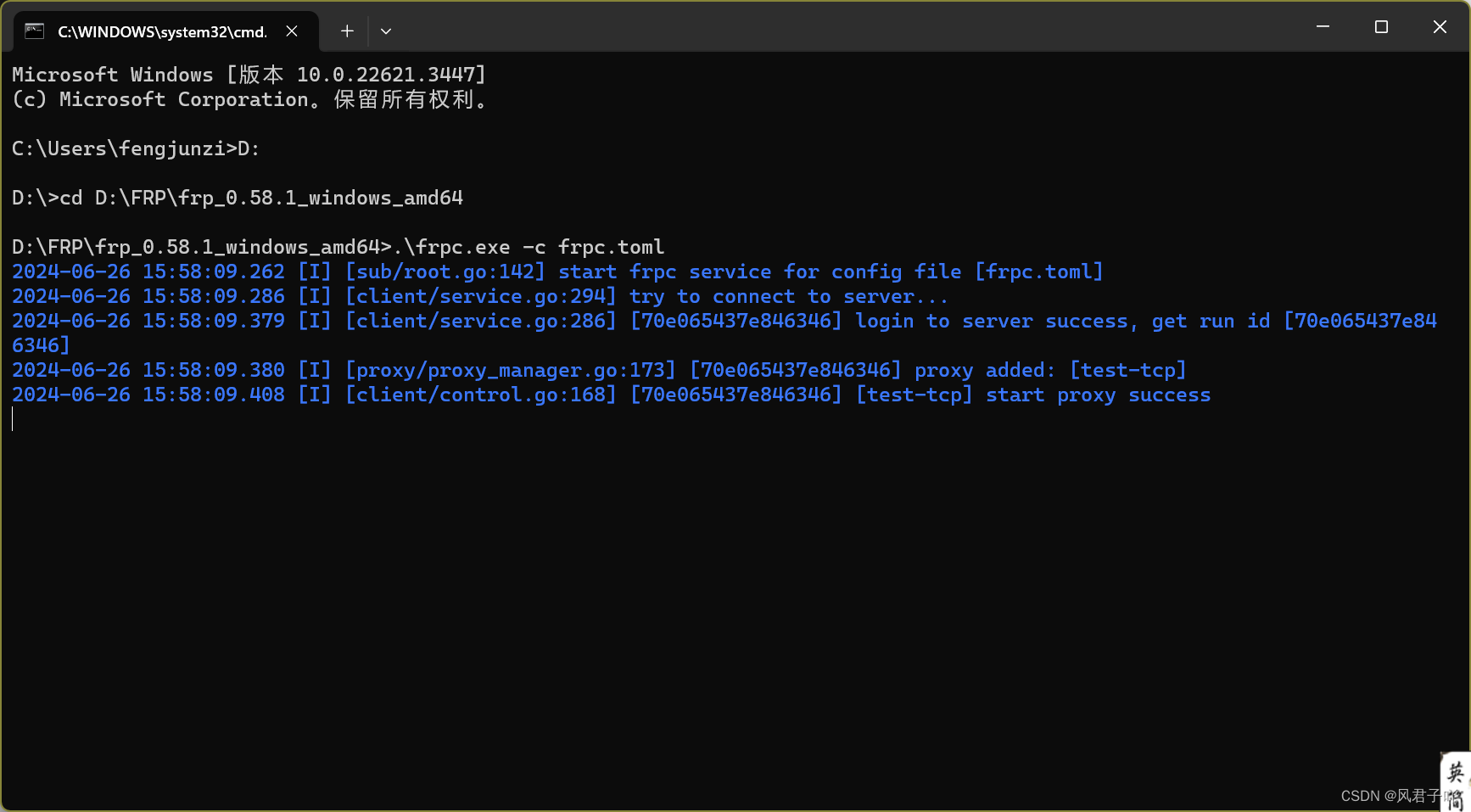 内网穿透_frp的使用_natfrp使用-CSDN博客
