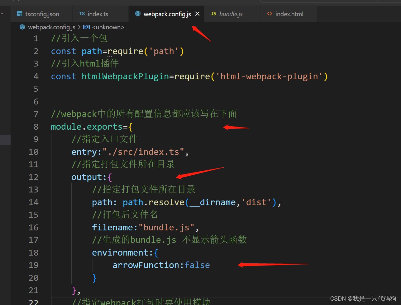 TypeScript入门教程：从基础类型到Webpack集成,-CSDN博客