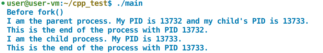 操作系统笔记之进程调用API中的getpid、fork、wait、exec补充-CSDN博客