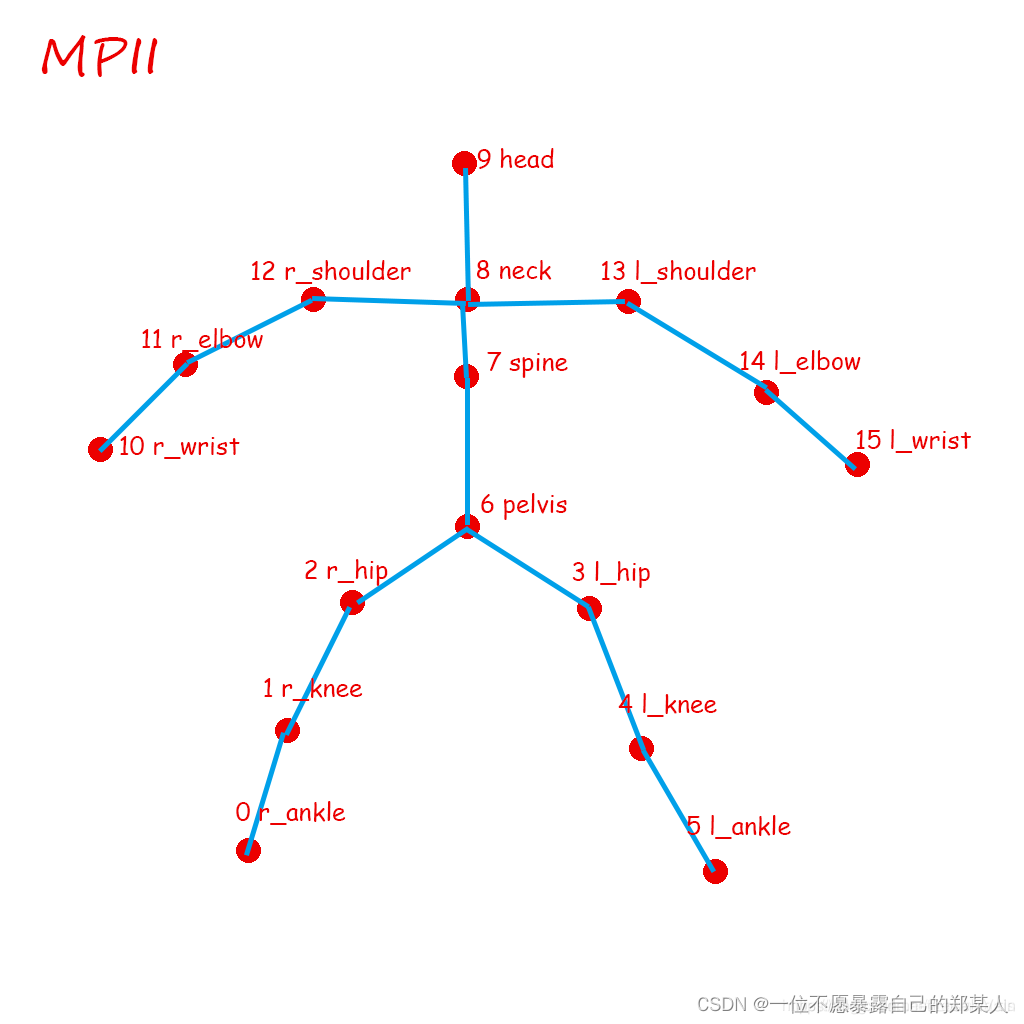 常见人体铰链关节点数据集中的关节点顺序(SMPL，NTU,MPII,Human3.6M)_smpl关节顺序-CSDN博客