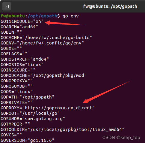 关于在虚拟机中不能go get的问题解决方案go get: module github.com/gin-gonic/gin: Get “https://proxy.golang.org ...