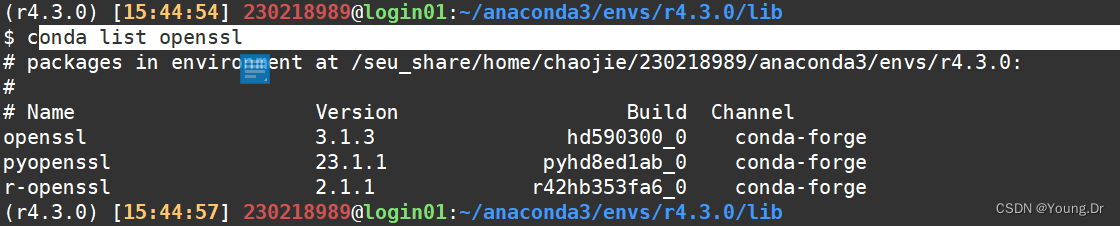 处理conda安装工具的动态库问题——解决记录 libssl.1.0.0 系统中所有openssl位置全览 whereis openssl_libssl1.0.0-CSDN博客