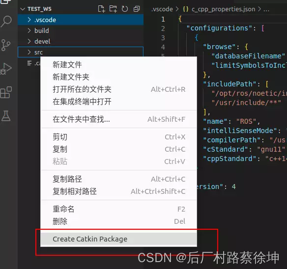 【ROS进阶】一文讲清如何在VScode中配置ROS编程环境_vs code如何加载ros系统-CSDN博客