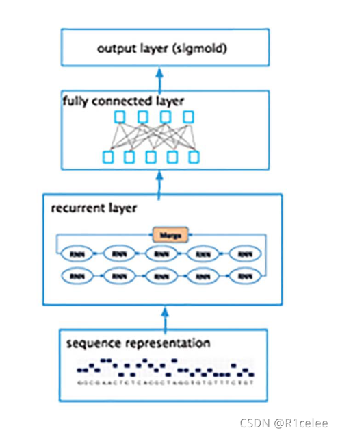 DNA/RNA基序挖掘中的深度学习研究进展（A survey on deep learning in DNA/RNA motif mining）_rnaincoder: a deep ...