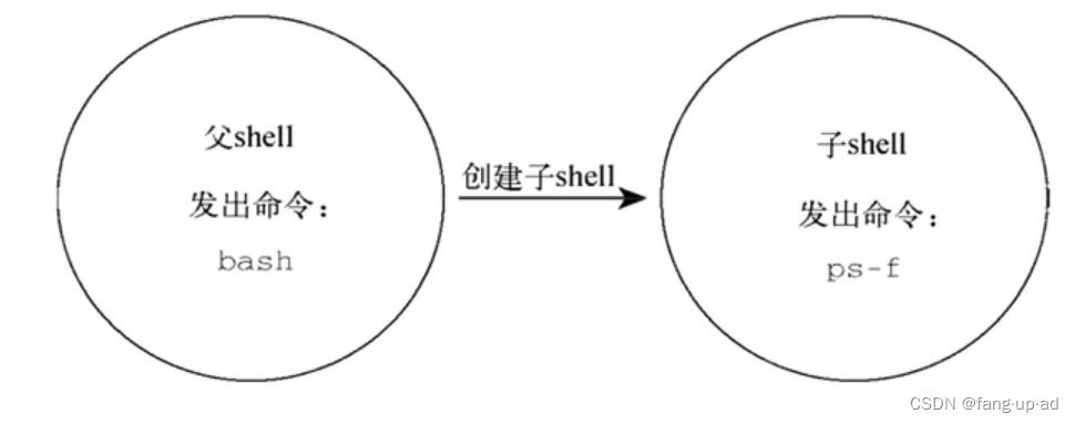 P21.为什么需要父子shell_为什么需开启子shell-CSDN博客