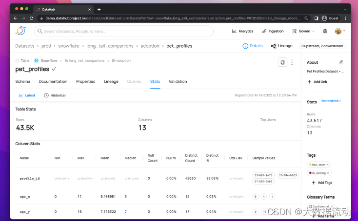 02-Datahub的功能有什么？-CSDN博客