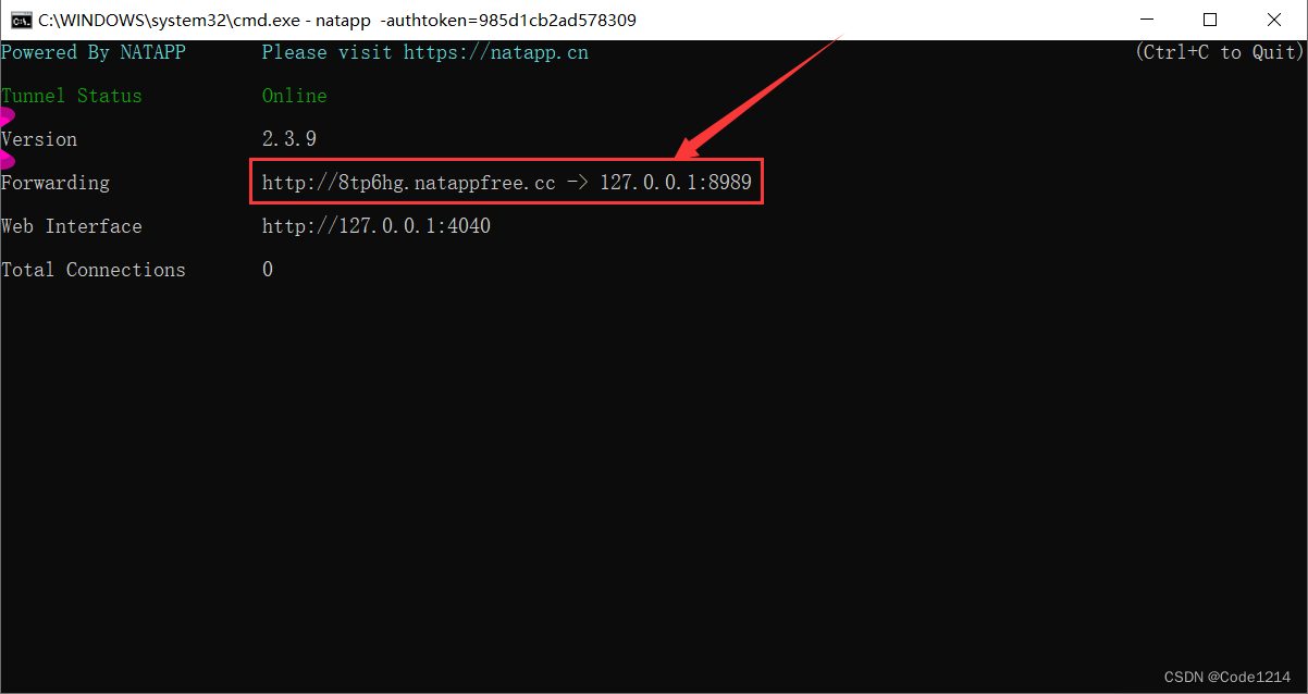 Natapp教程：实现内网穿透与公网访问-CSDN博客