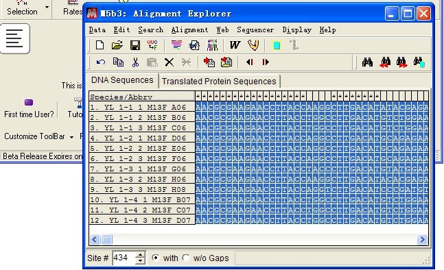 linux下phylip软件构建NJ树,MEGA软件——系统发育树构建方法（图文讲解）-CSDN博客