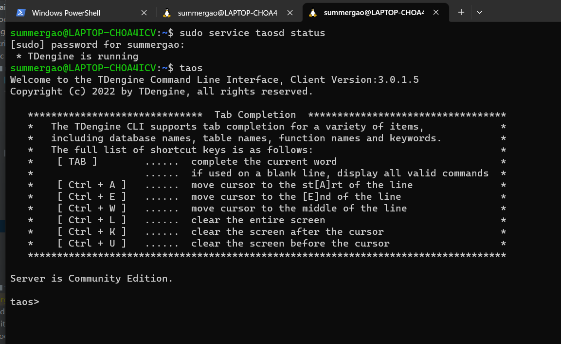 基于Windows Ubuntu子系统安装 TDengine-CSDN博客