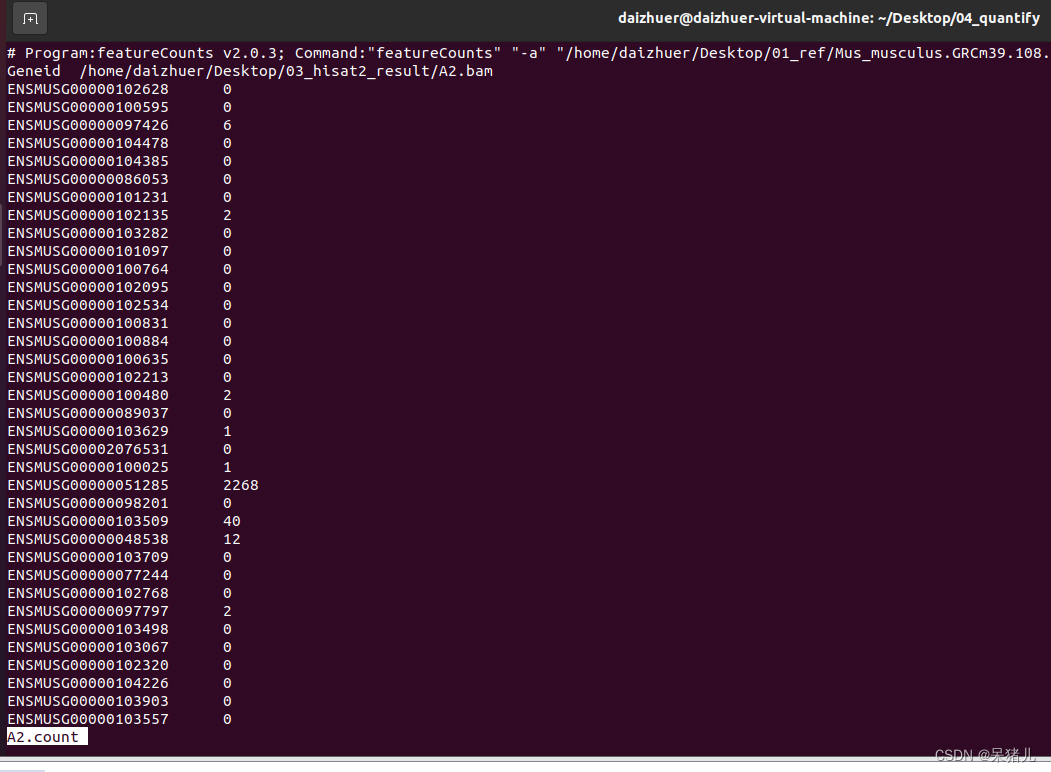 零基础入门转录组上游分析——第五章（表达定量）_--countreadpairs-CSDN博客