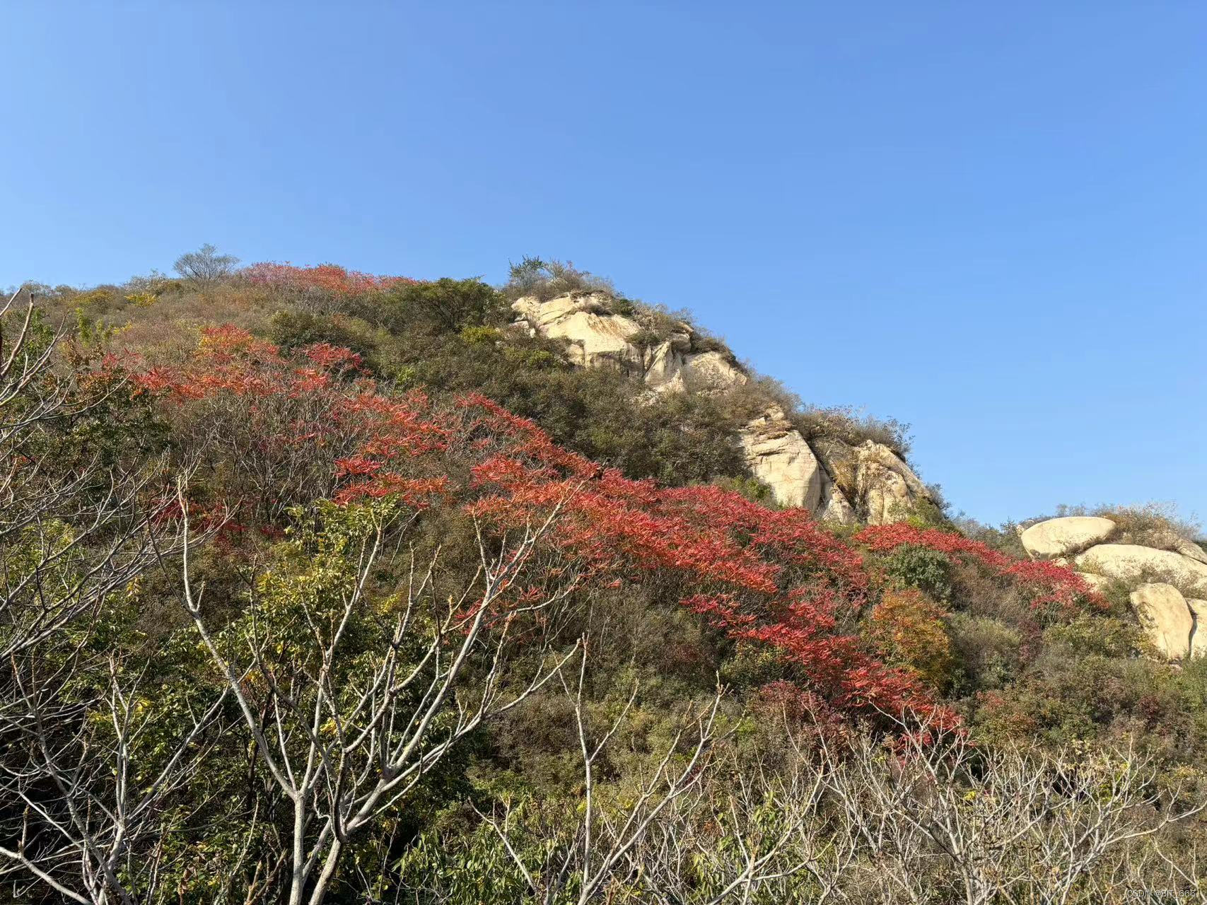 我的创作纪念日 - 2048-CSDN博客