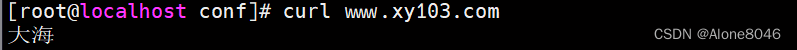 nginx的vim nginx.conf配置文件内容详解及实验，nginx的优化和防盗链-CSDN博客