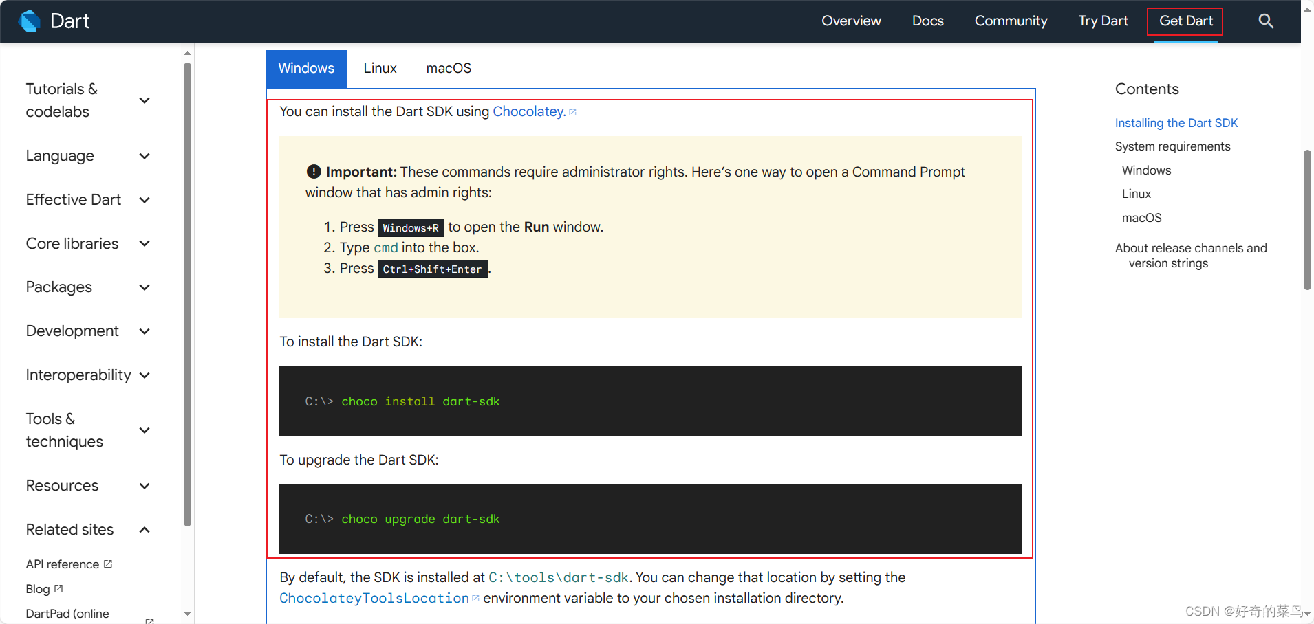Dart安装(Winodws)-CSDN博客