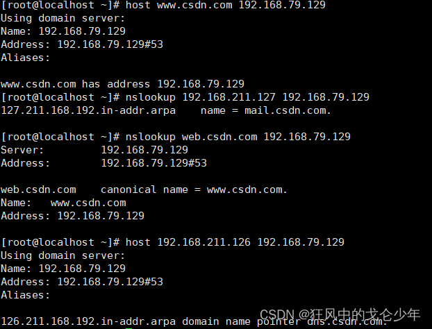 搭建本地DNS服务器-CSDN博客