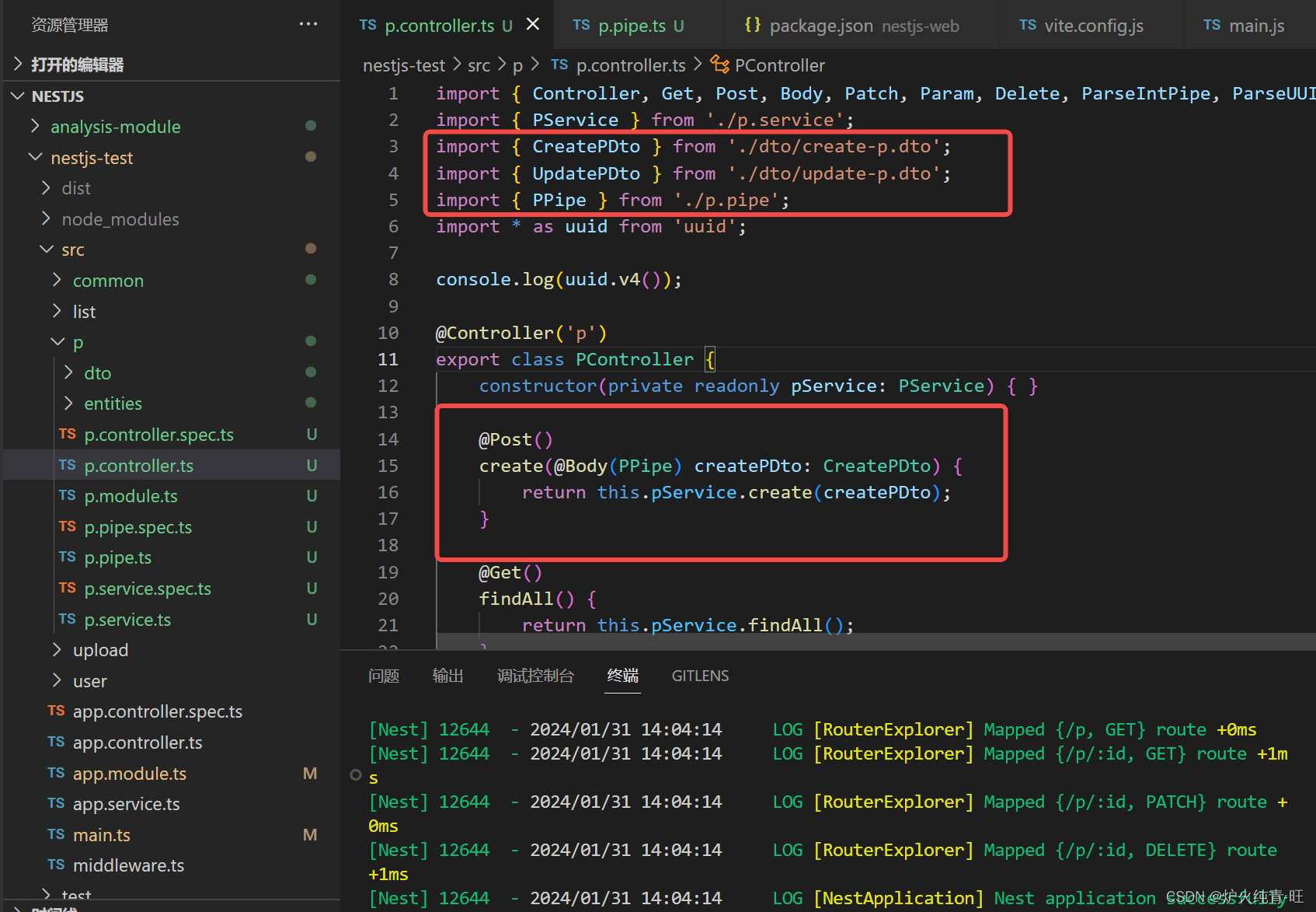 Nestjs 管道验证DTO_nestjs dto-CSDN博客
