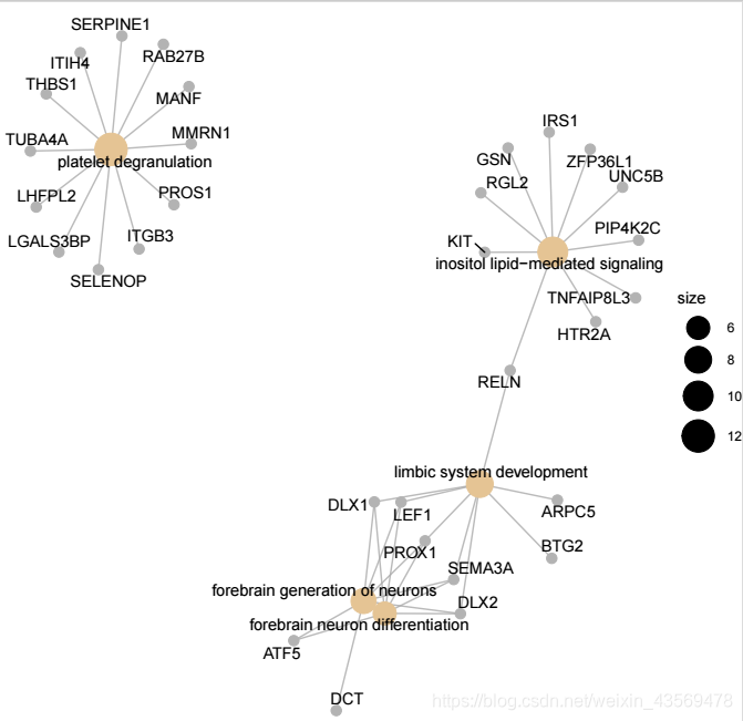 使用clusterProfiler进行GO富集分析_cluster profiler-CSDN博客