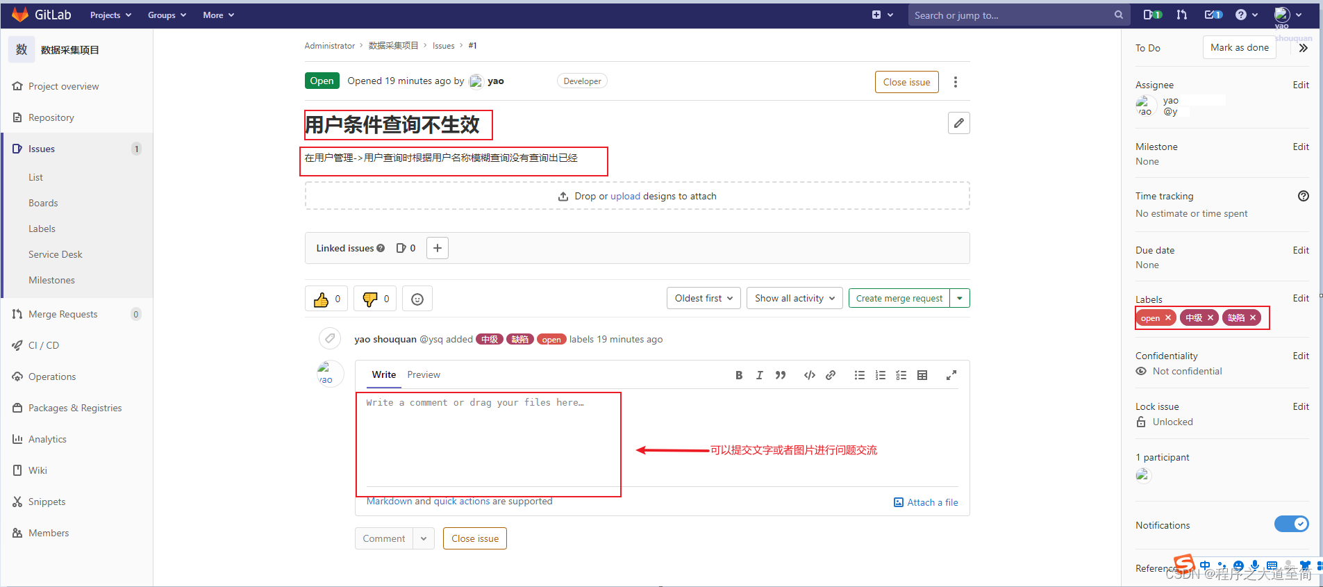 使用Gitlab的Issues做项目开发的缺陷管理_gitlab issues怎么用-CSDN博客