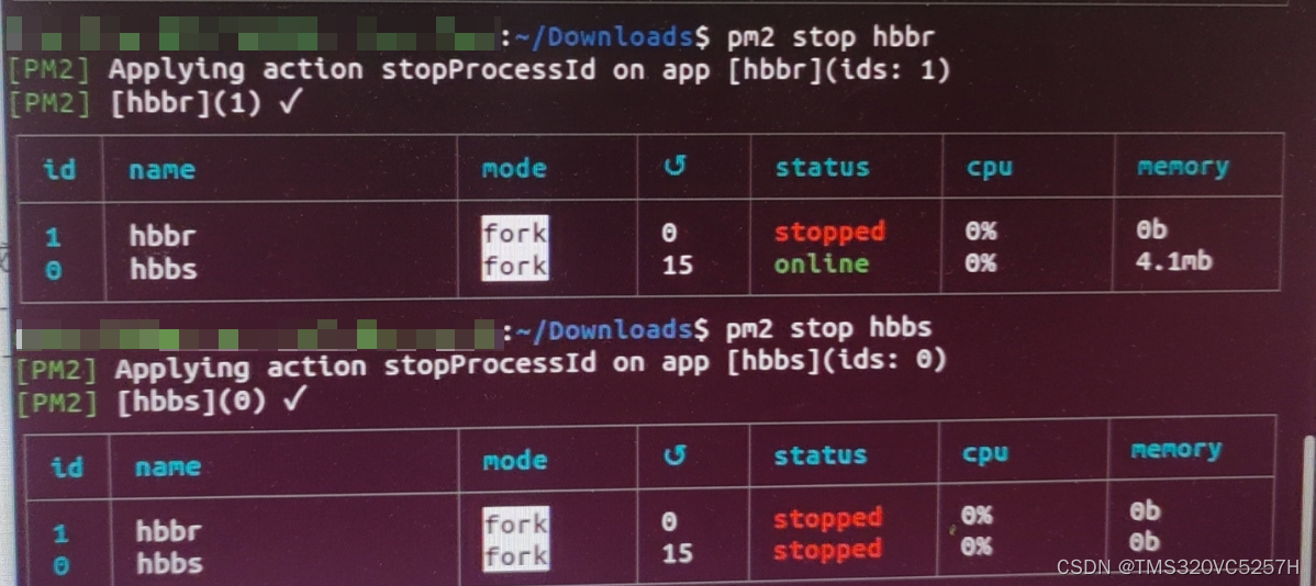 使用pm2安装、启动和停止rustdesk-server服务_rustdesk pm2-CSDN博客