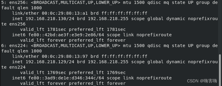 虚拟网卡team的配置方法_netswitchteam-CSDN博客