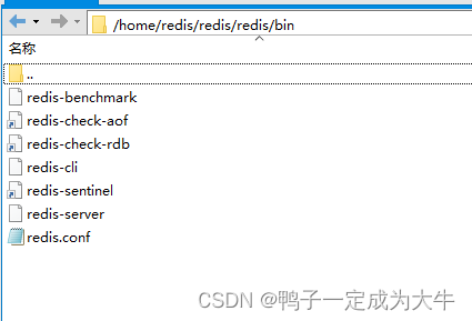 Centos7.x离线安装redis_redis rpm包下载-CSDN博客