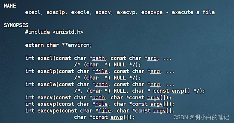 Linux进程替换（exec族函数）-CSDN博客