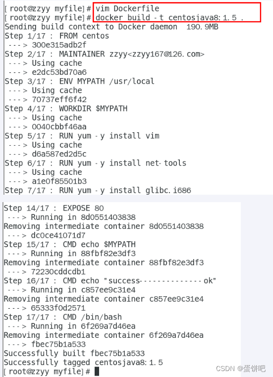 【DockerFile解析及Docker微服务实战】_微服务dockerfile-CSDN博客