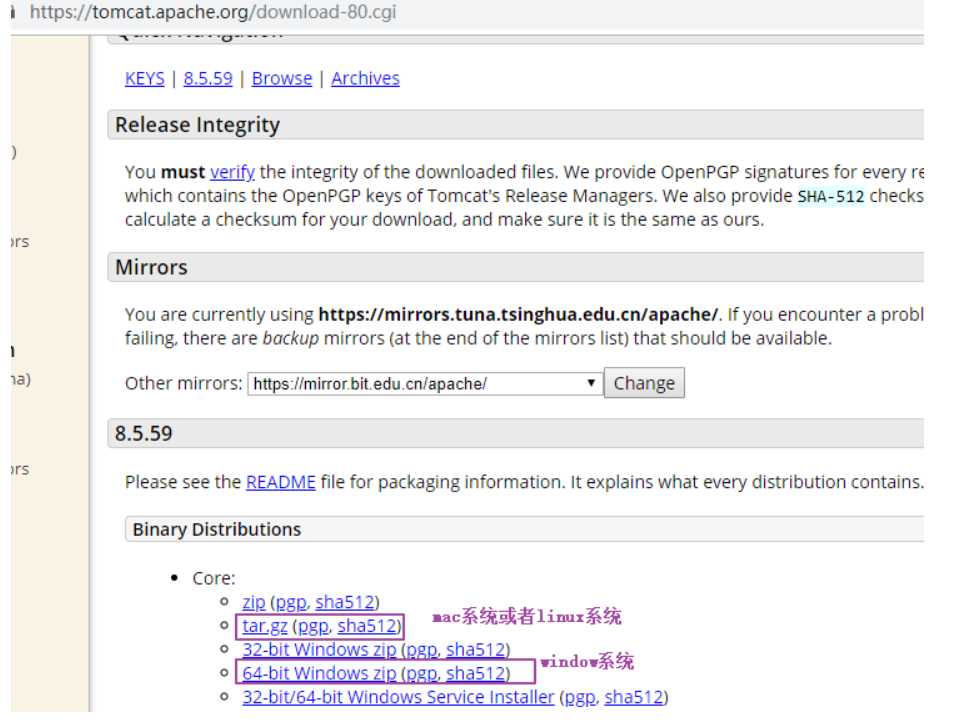 Tomact安装配置及使用(超详细)_tom select 下载使用-CSDN博客