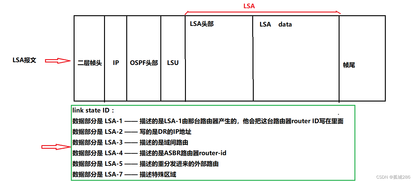 OSPF—— LSA-1和 LSA-2_lsa1和lsa2-CSDN博客