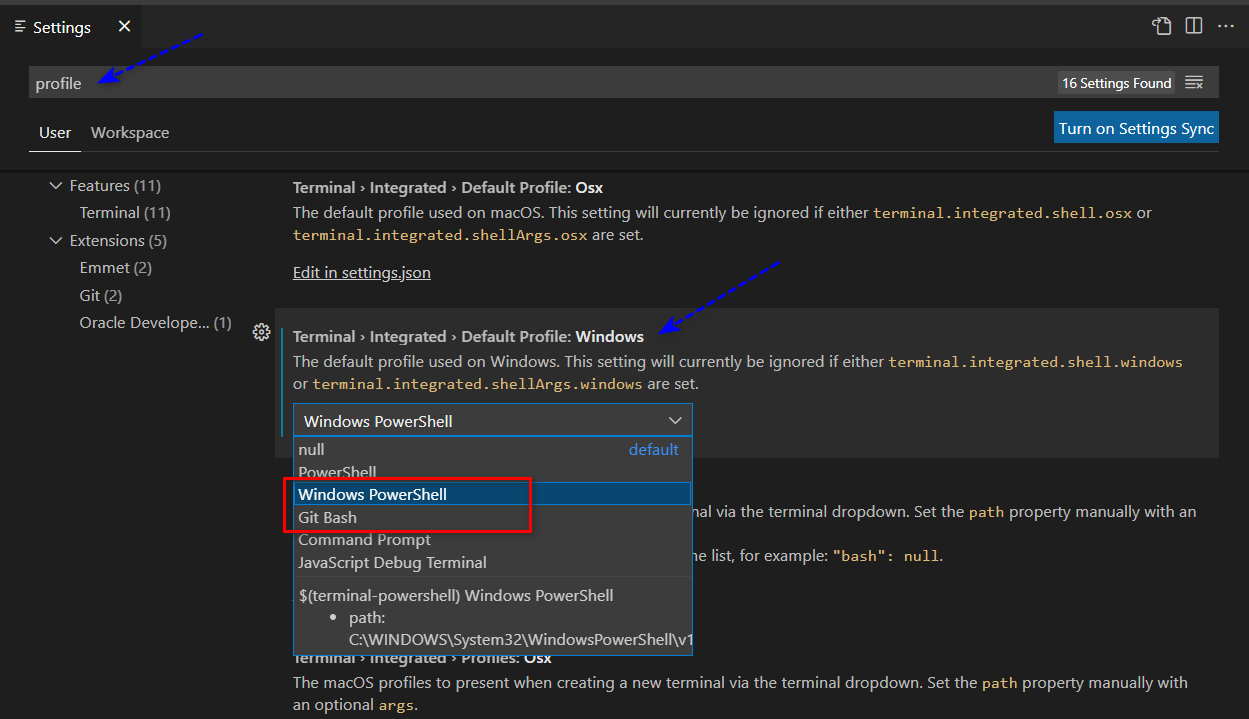美化PowerShell优化终端Terminal、在VS Code中配置Git Bash（二）_posh-git-CSDN博客