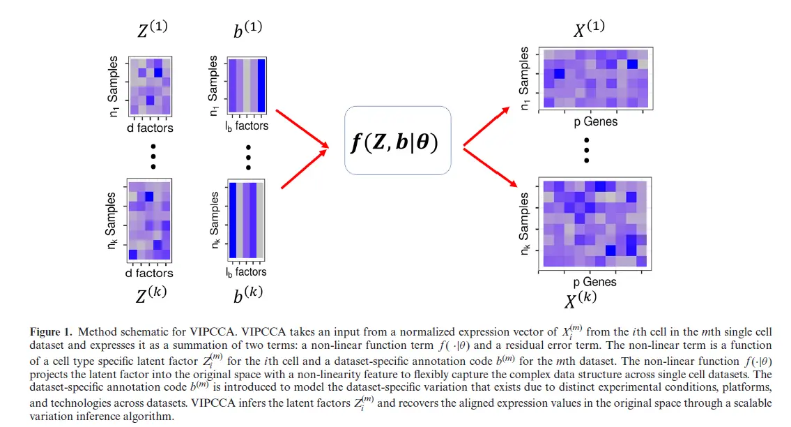10X单细胞转录组整合、转录组 && ATAC整合分析之VIPCCA_10xatac read长度要求-CSDN博客