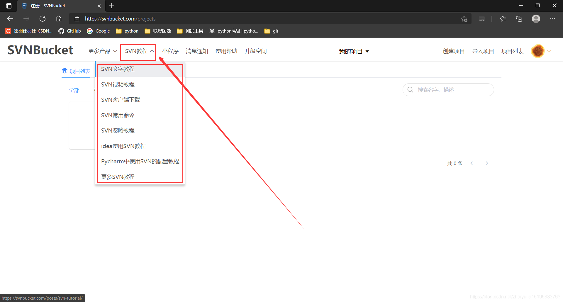 【亲测可行】SVN环境准备（服务端：SVNBucket，客户端：TortoiseSVN）-CSDN博客