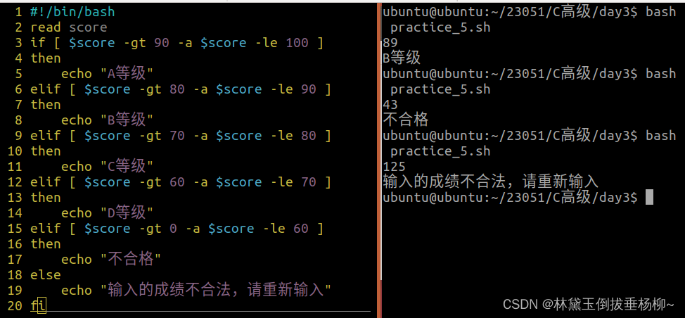 C高级--day3(shell中的输入、命令置换符、数组、算数运算、分支结构)_c shell 键盘输入-CSDN博客