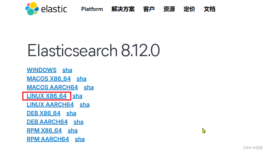 Linux安装elasticsearch和kibana 8.12-CSDN博客