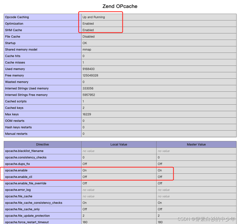 PHP - APC/OPcache - 学习/实践_php apc-CSDN博客
