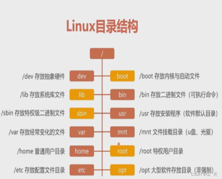 Linux目录系统与文件类型详解-CSDN博客