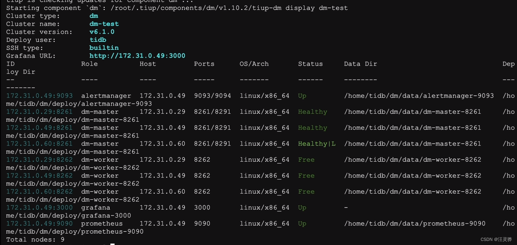 TiDB-Data Migration（DM）使用方法_tidb dm-CSDN博客
