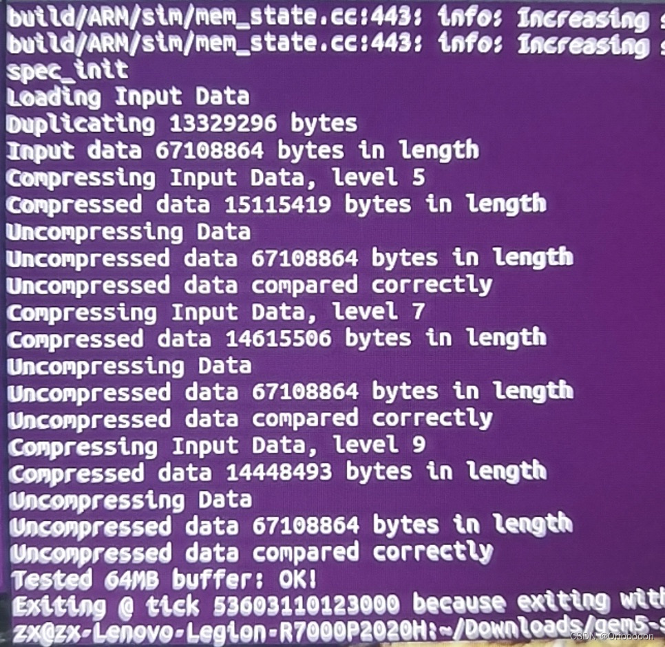 使用Gem5在aarch64架构下运行SPEC2006样例（三）——样例运行_gem5 spec-CSDN博客
