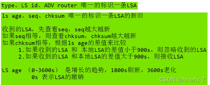 【ospf路由计算（一类LSA-router、二类LSA-Network、三类LSA-sum-Net）】-20211228-30-CSDN博客