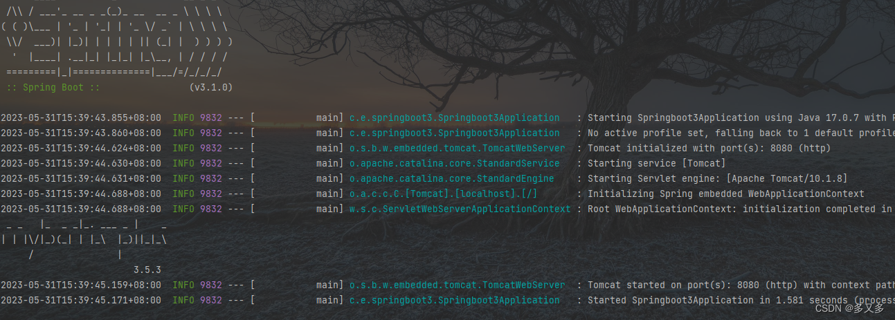 Springboot3.1整合mybatis-plus报错：Injection of resource dependencies failed/Property ...