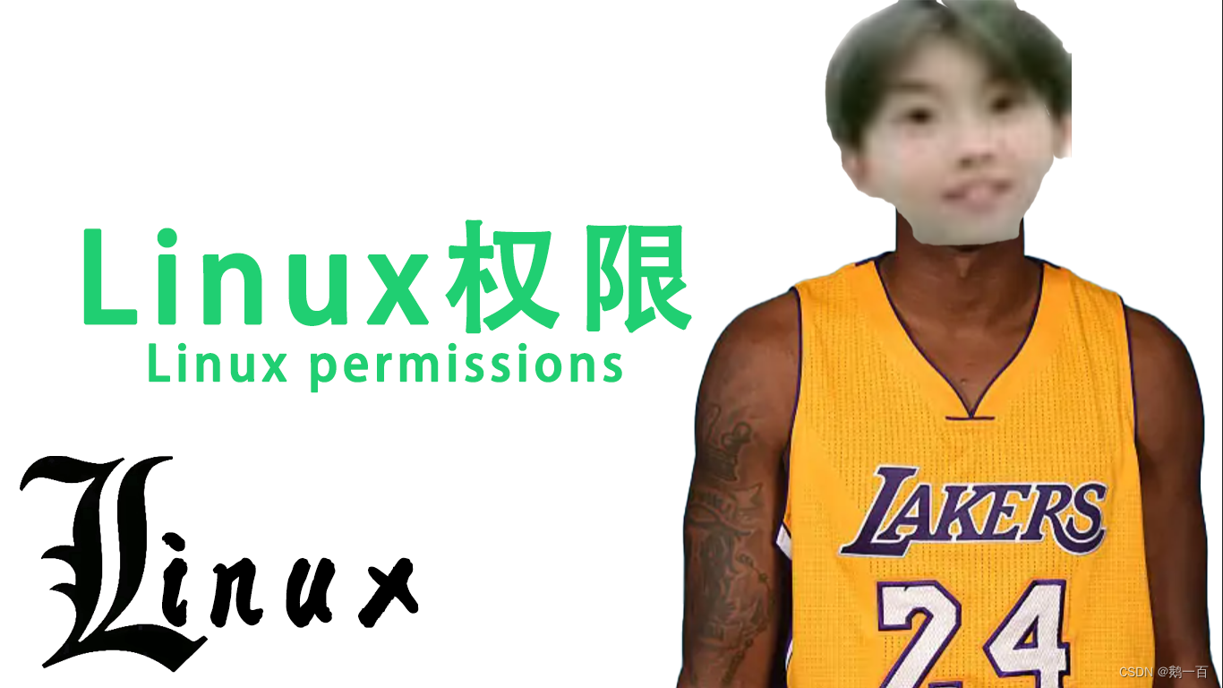 Linux权限-CSDN博客