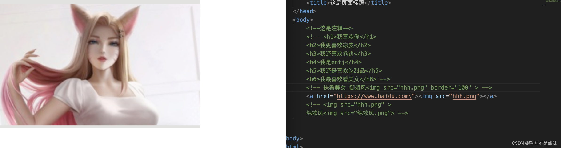 前端第二课，HTML,alt,title,width/heigh，border,＜a＞超链接,target,tr,td,th_width alt-CSDN博客
