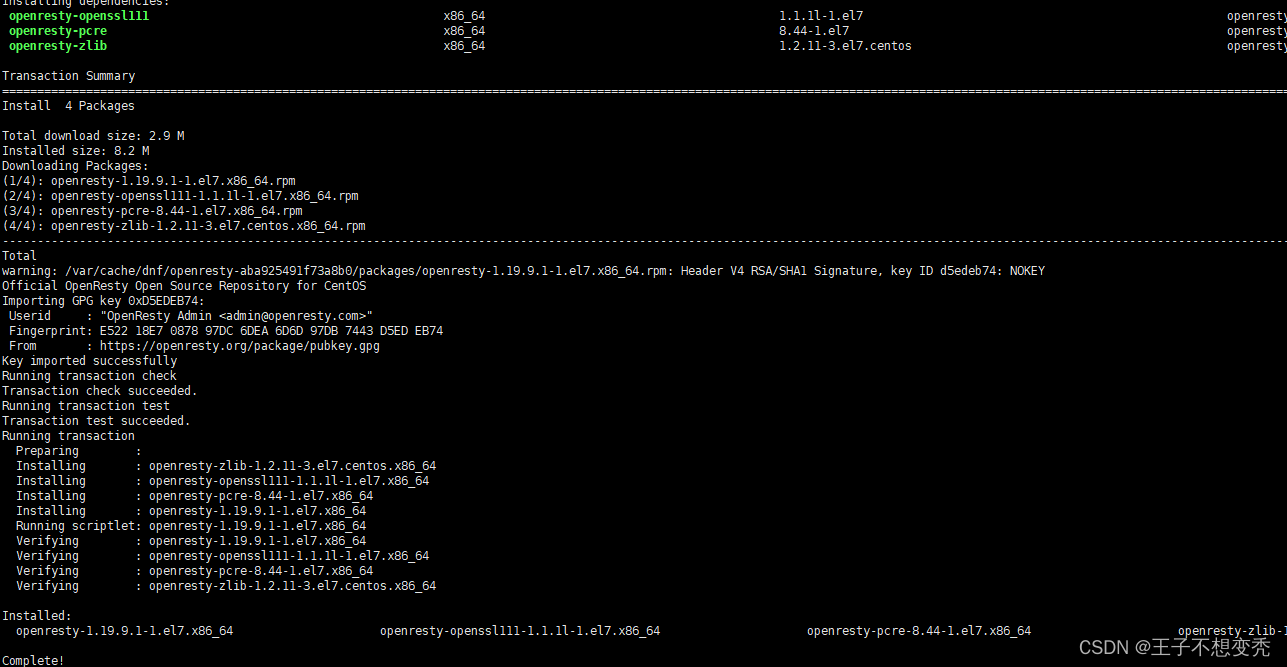 linux centos 安装 openresty_errors during downloading metadata for repository -CSDN博客