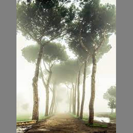 基于python_CNN深度学习的天气状况识别-含数据集+pyqt界面_深度学习实现对天气的预测数据库下载-CSDN博客