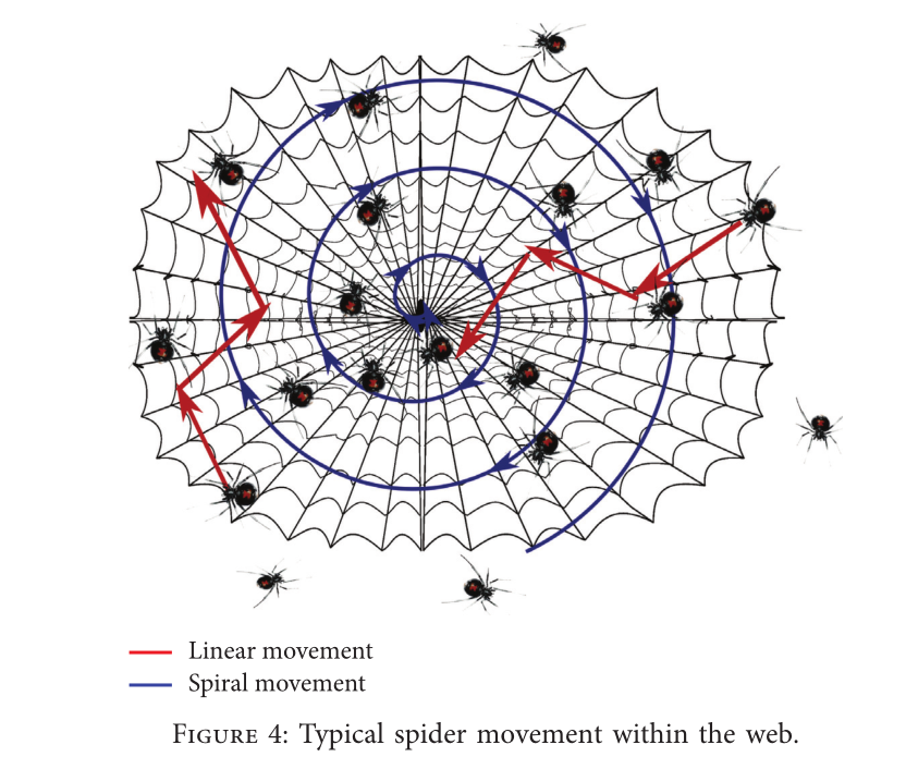 【智能优化算法】黑寡妇优化算法(Black Widow Optimization Algorithm,BWOA)-CSDN博客
