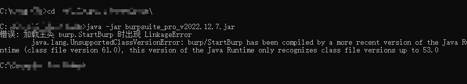启动Burpsuite.jar包报错_错误: 加载主类 burp.startburp 时出现 linkageerror java.lang-CSDN博客